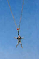 Bungee.com - bungee jumping and equipment, professional hollywood ...