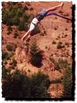 Bungee.com - bungee jumping and equipment, professional hollywood ...
