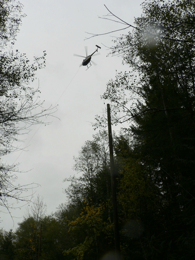 The Green Mile zipline, canopy tours, zip-line, cable zip, canopytours ...